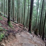 BCMC Trail, British Columbia, Canada - 3,877 Reviews, Map | AllTrails