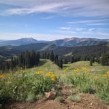 Washington Gulch Trail [CLOSED], Colorado - 409 Reviews, Map | AllTrails
