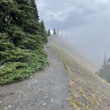 Sunrise View Point via High Ridge Nature Trail, Washington - 1,113 ...