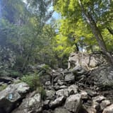 Little Devils Stairs and Piney Branch Loop, Virginia - 577 Reviews, Map ...