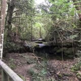 Lane Cove Riverside Walk, New South Wales, Australia - 1,764 Reviews ...