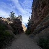 Fowler Trail, Colorado - 2,599 Reviews, Map | AllTrails