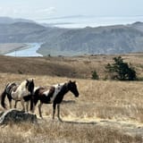 Sea to Sky to Raptor Ridge Loop, California - 1,330 Reviews, Map ...