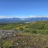 Curry Ridge Trail, Alaska - 1,129 Reviews, Map | AllTrails