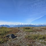 Curry Ridge Trail, Alaska - 1,129 Reviews, Map | AllTrails