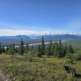 Curry Ridge Trail, Alaska - 1,129 Reviews, Map | AllTrails