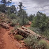 Mescal Mountain Trail, Arizona - 752 Reviews, Map | AllTrails