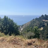 Tanbark Trail and Tin House Loop, California - 1,411 Reviews, Map ...