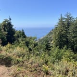 Tanbark Trail and Tin House Loop, California - 1,411 Reviews, Map ...