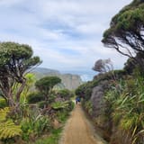 Mercer Bay Loop Track, Auckland, New Zealand - 796 Reviews, Map | AllTrails