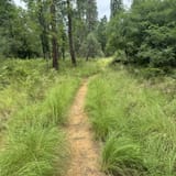 See Spring Trail, Arizona - 873 Reviews, Map | AllTrails