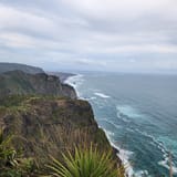 Mercer Bay Loop Track, Auckland, New Zealand - 796 Reviews, Map | AllTrails