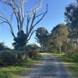 Archerfield Wetlands Discovery Trail, Queensland, Australia - 56 ...