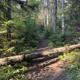 Lost '40' Trail, Minnesota - 182 Reviews, Map | AllTrails