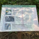 Lost '40' Trail, Minnesota - 182 Reviews, Map | AllTrails