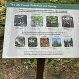 Lost '40' Trail, Minnesota - 182 Reviews, Map | AllTrails