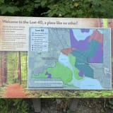 Lost '40' Trail, Minnesota - 182 Reviews, Map | AllTrails