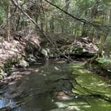 Busby Trail, Spruce Hill Lost Pond and Blackburnian Loop, Massachusetts ...