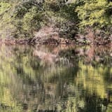 Henderson Park Loop, Georgia - 1,883 Reviews, Map | AllTrails
