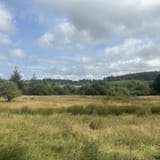 Fernworthy Reservoir Circular, Devon, England - 82 Reviews, Map | AllTrails