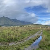 Paradyskloof Waterfall, Western Cape, South Africa - 854 Reviews, Map ...