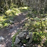 Mount Cabot Loop, New Hampshire - 967 Reviews, Map | AllTrails