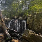 Falling Branch Trail to Kilgore Falls, Maryland - 1,375 Reviews, Map ...