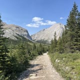 Edworthy Falls via Elbow Lake Trail, Alberta, Canada - 2,226 Reviews ...