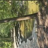 Flat Fork Ridge Trail, Ohio - 1,386 Reviews, Map | AllTrails