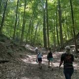 Abraham Lincoln Park White Trail, New York - 1,696 Reviews, Map | AllTrails