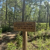 Conecuh South Loop Trail, Alabama - 117 Reviews, Map | AllTrails