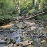 Cat Gap Trail to John Rock Loop, North Carolina - 2,459 Reviews, Map ...