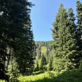 Thorp Lake via Thorp Creek Trail, Washington - 171 Reviews, Map | AllTrails