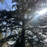 Secret Beach Trail, Oregon - 1,603 Reviews, Map | AllTrails
