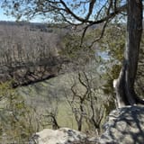 Cheek Bend Bluff View Trail, Tennessee - 821 Reviews, Map | AllTrails