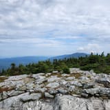 Mount Abraham via Long Trail, Vermont - 1,347 Reviews, Map | AllTrails