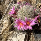 Gateway Loop Trail, Arizona - 11,980 Reviews, Map | AllTrails