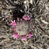 Gateway Loop Trail, Arizona - 11,980 Reviews, Map | AllTrails