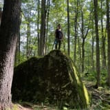 Rock City and McCarthy Hill Loop, New York - 36 Reviews, Map | AllTrails