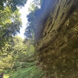 Trail #3 at Turkey Run State Park, Indiana - 1,471 Reviews, Map | AllTrails