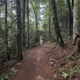 Fonta Flora Trail Loop, North Carolina - 1,781 Reviews, Map | AllTrails