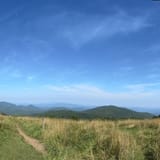 Max Patch Loop, North Carolina - 2,420 Reviews, Map | AllTrails