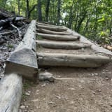 Old Bridle Path, New Hampshire - 1,471 Reviews, Map | AllTrails