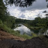 The Manistee River Loop Trail, Michigan - 2,124 Reviews, Map | AllTrails