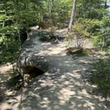 Princess Arch Trail, Kentucky - 1,463 Reviews, Map | AllTrails
