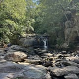 Cochran Mill Loop 1 and 2 (Orange), Georgia - 873 Reviews, Map | AllTrails