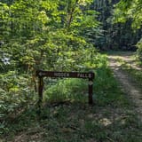 Hidden Falls Trail, South Carolina - 707 Reviews, Map | AllTrails