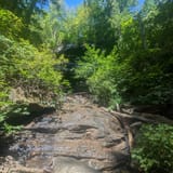 Hidden Falls Trail, South Carolina - 707 Reviews, Map | AllTrails