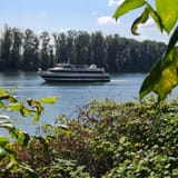 Portland River Loop Trail, Oregon - 826 Reviews, Map | AllTrails