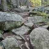 Moxham Mountain Trail, New York - 1,600 Reviews, Map | AllTrails